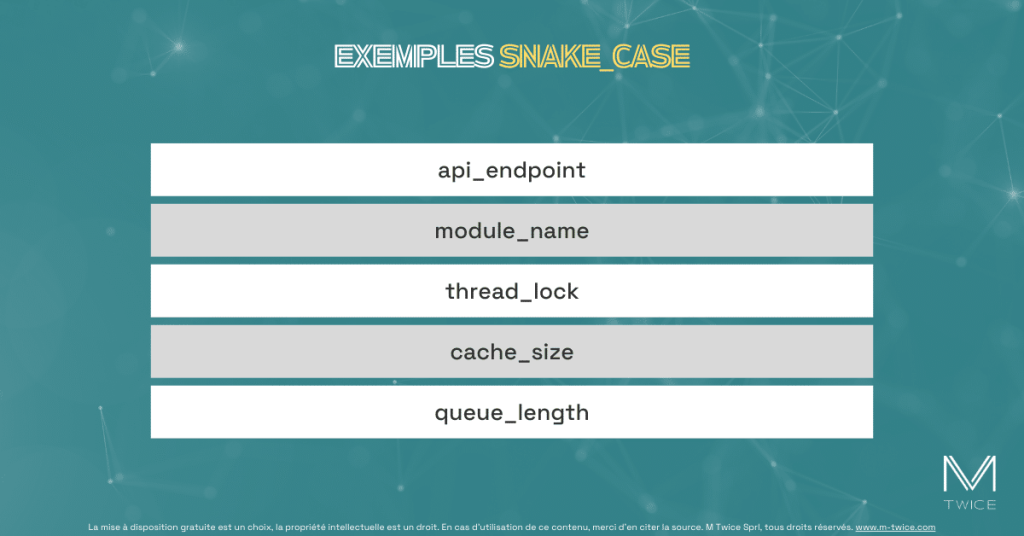 snake_case : Définition | Glossaire M-Twice